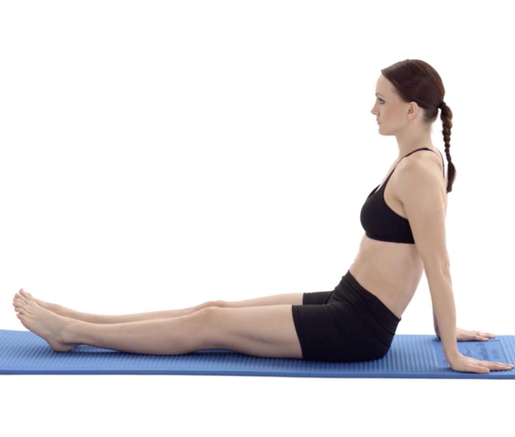 How to perform the Adductor Stretch - Physitrack